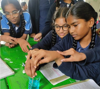 Gallery | Shikhara School